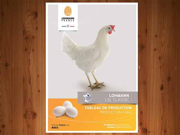 Lohmann LSL classic - Production en cage - Tableaux de production