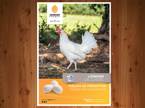 Tableaux de Production des Poules Pondeuses - Lohmann France