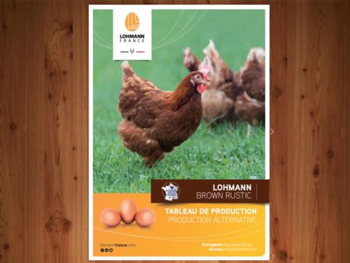 Tableaux de Production des Poules Pondeuses - Lohmann France